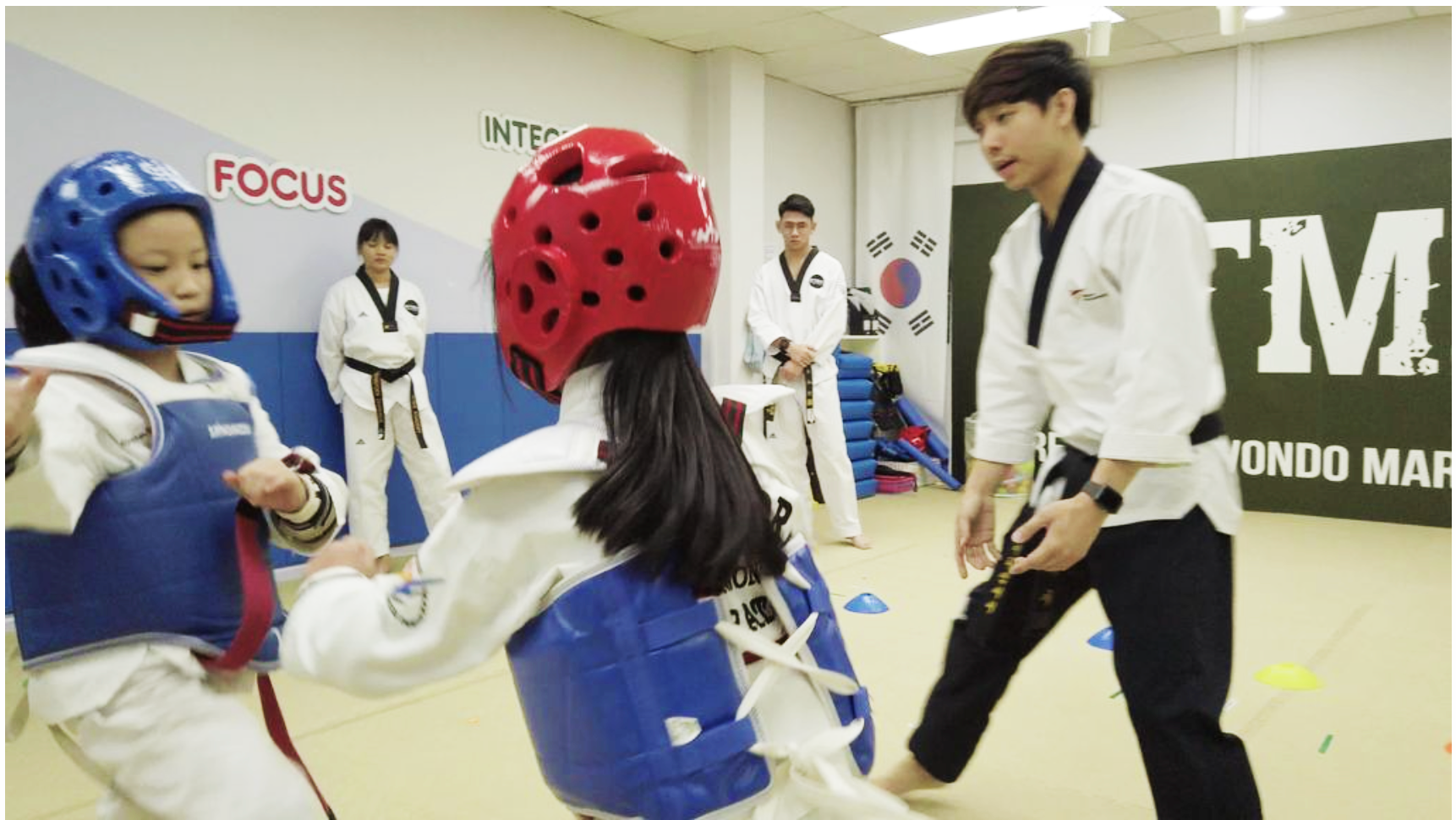 Green Belt and Beyond: Understanding the Taekwondo Sparring ...